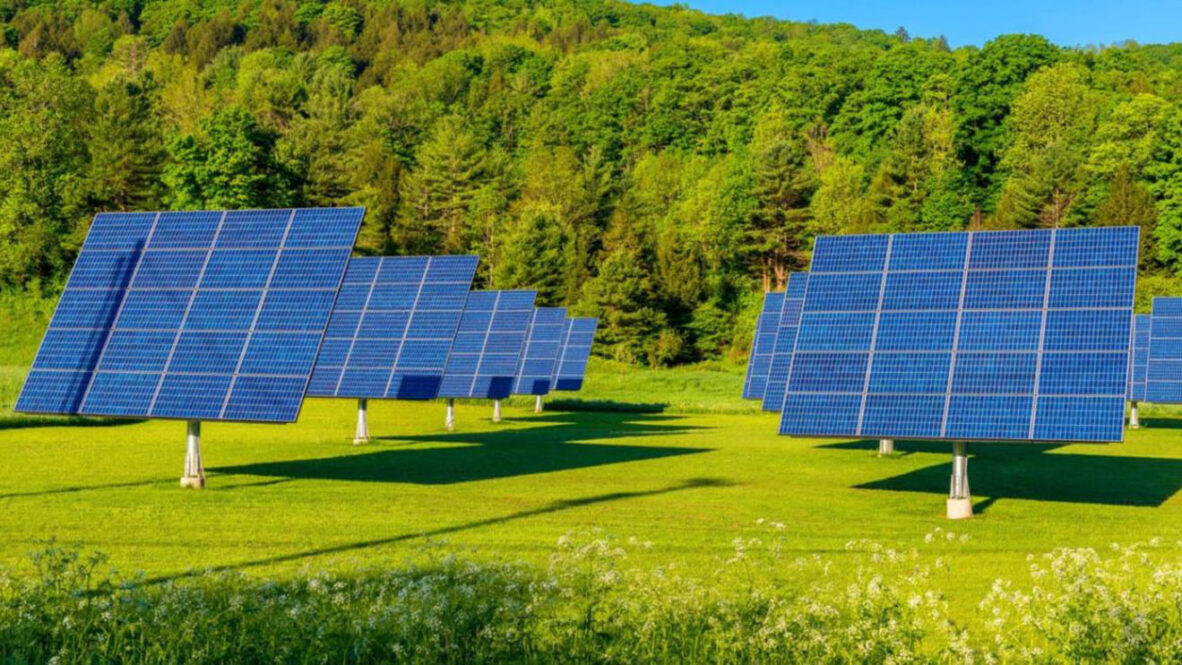 Helping Land Owners Cultivate Profits with Dual-Use Solar Arrays - Bohler
