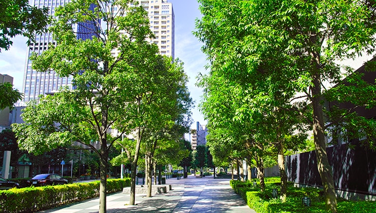 Philadelphia's New Landscape Ordinance - Bohler