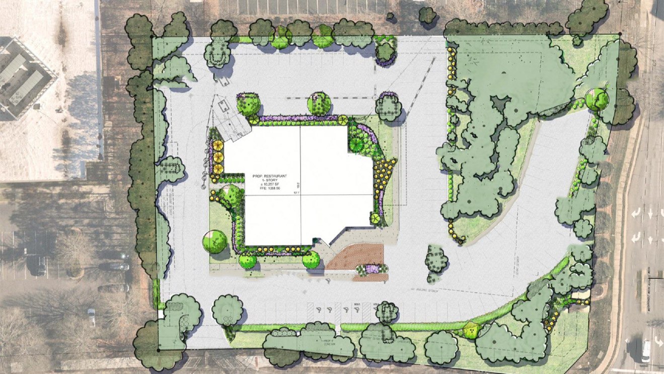 Navigating Atlanta’s New Tree Protection Ordinance - Bohler